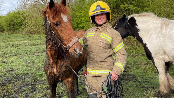 Firefighters rescue horse stuck in muddy field in Chester-le-Street ...